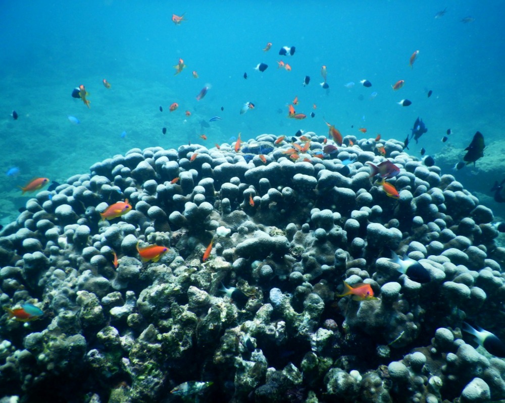 Ujung Peuneung di Pulau Breuh